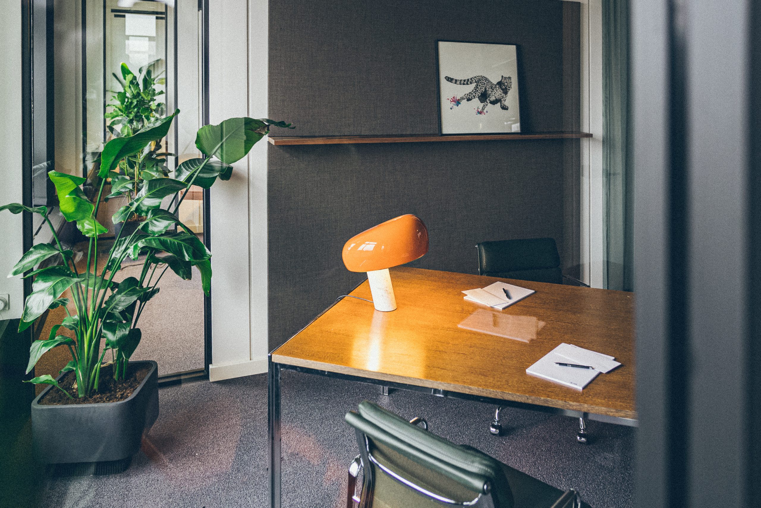 the player/hamburg/part 1. | antibeige